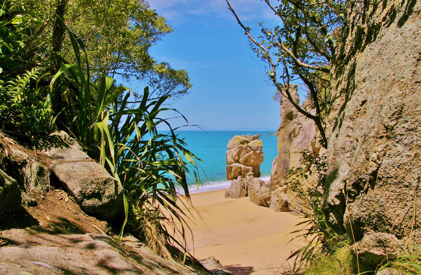 Totaranui to Whariwharangi - Abel Tasman Sea Shuttles